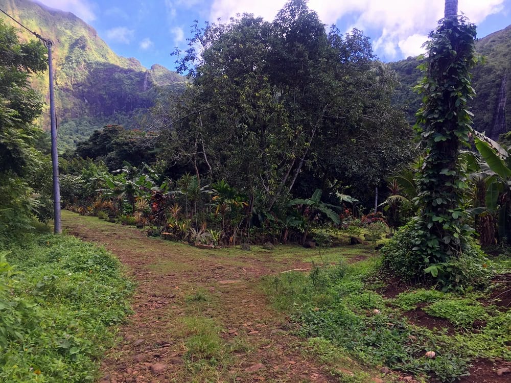 Moorea - The Putoa waterfalls